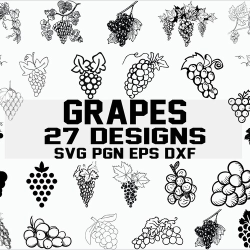 Grape Svg/ Wine Svg/ Vineyard Svg/ Fruits Svg/ Clipart/ - Etsy