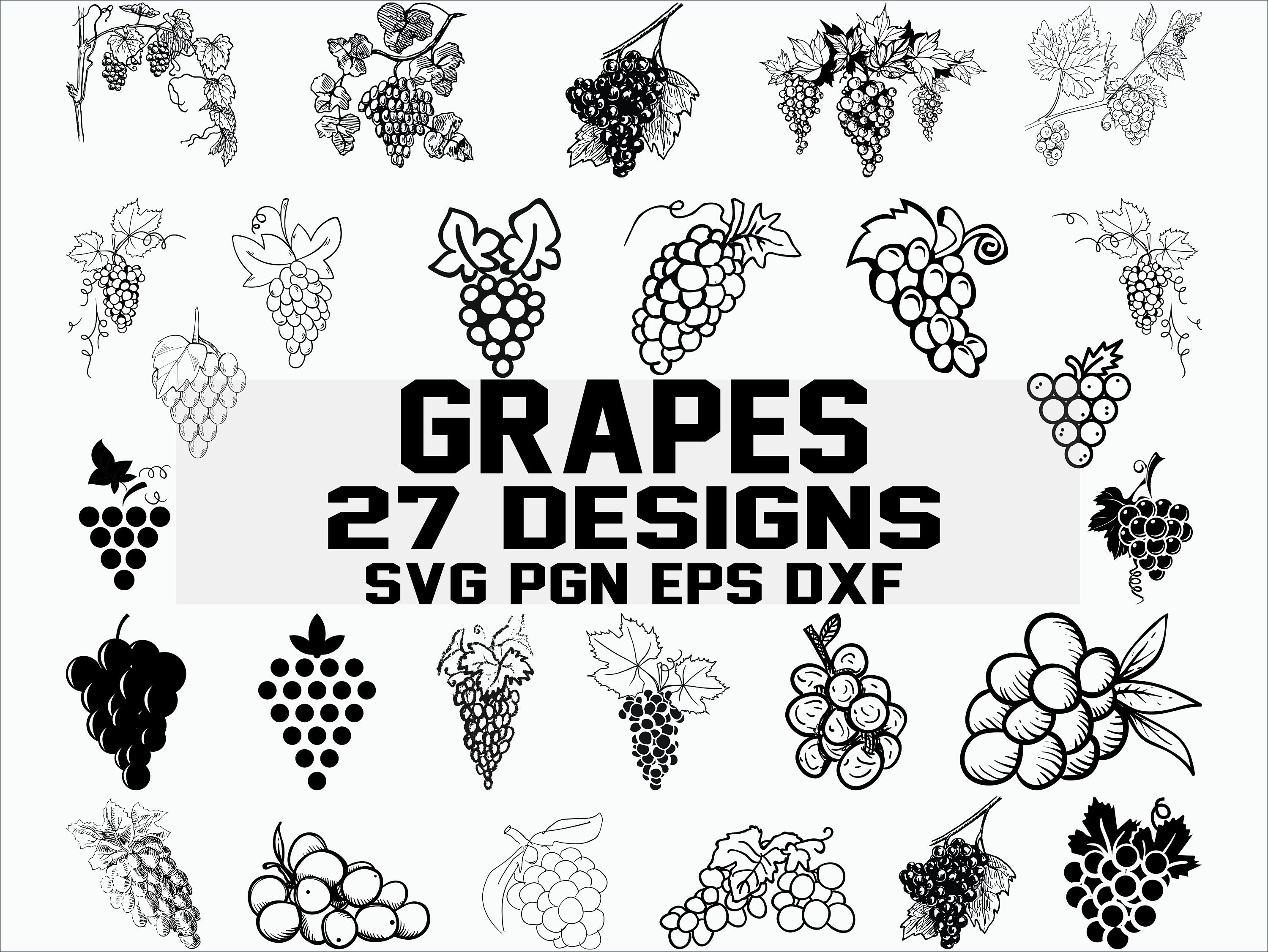Grape Svg/ Wine Svg/ Vineyard Svg/ Fruits Svg/ Clipart/ Silhouette ...