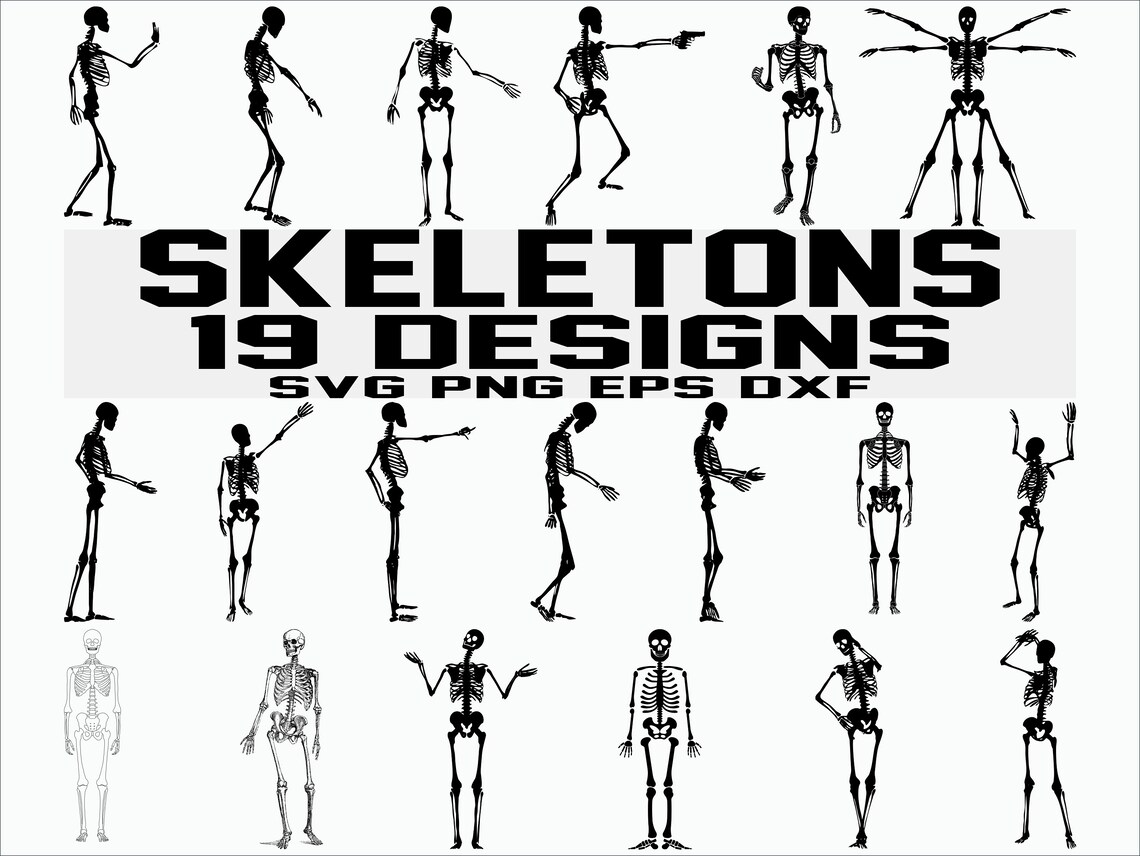 Skeleton SVG/ Skeleton Bones Svg/ Halloween Svg/ Cut Files/ | Etsy