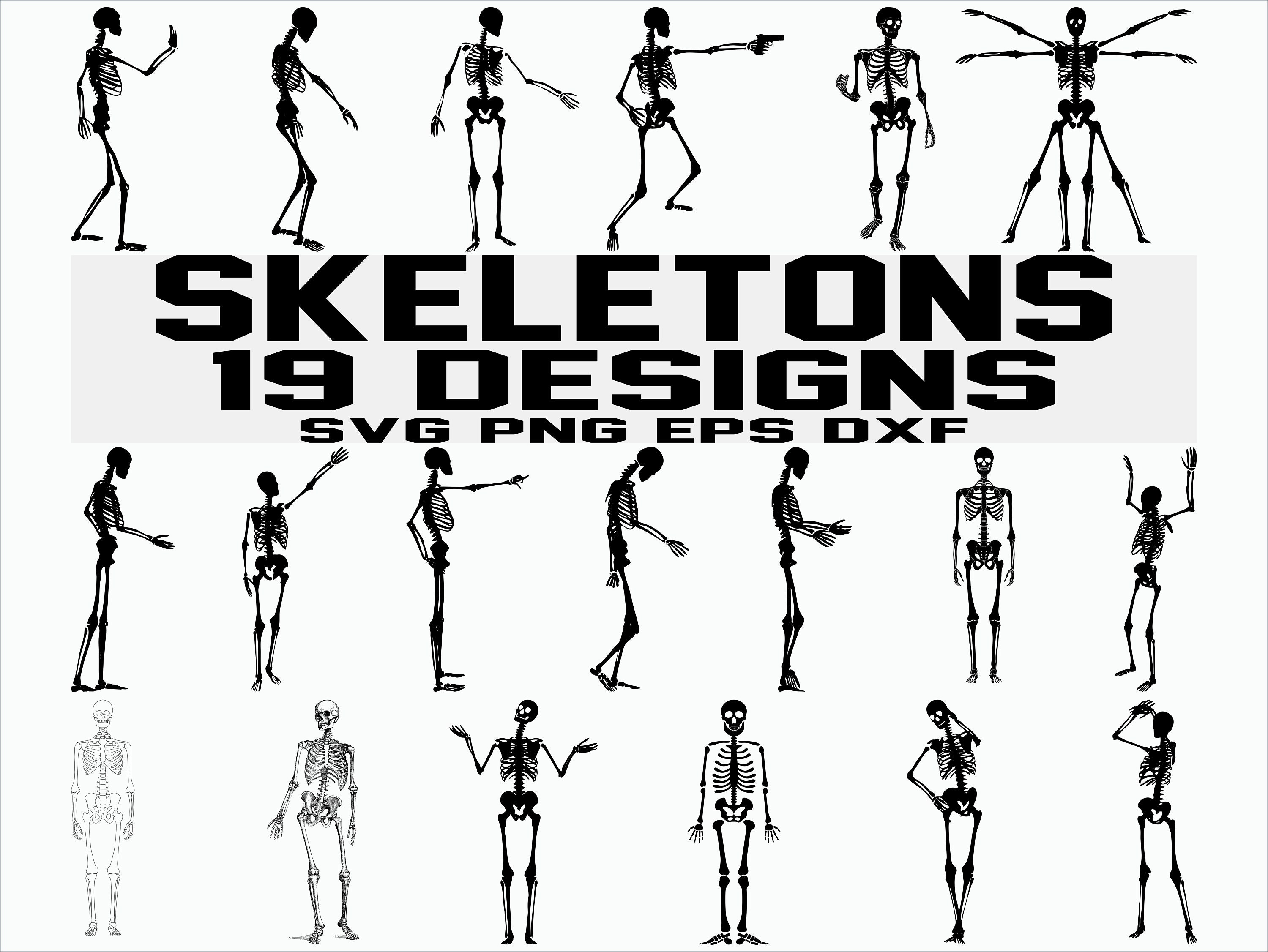 Skeleton SVG/ Skeleton bones svg/ halloween svg/ cut files/ | Etsy