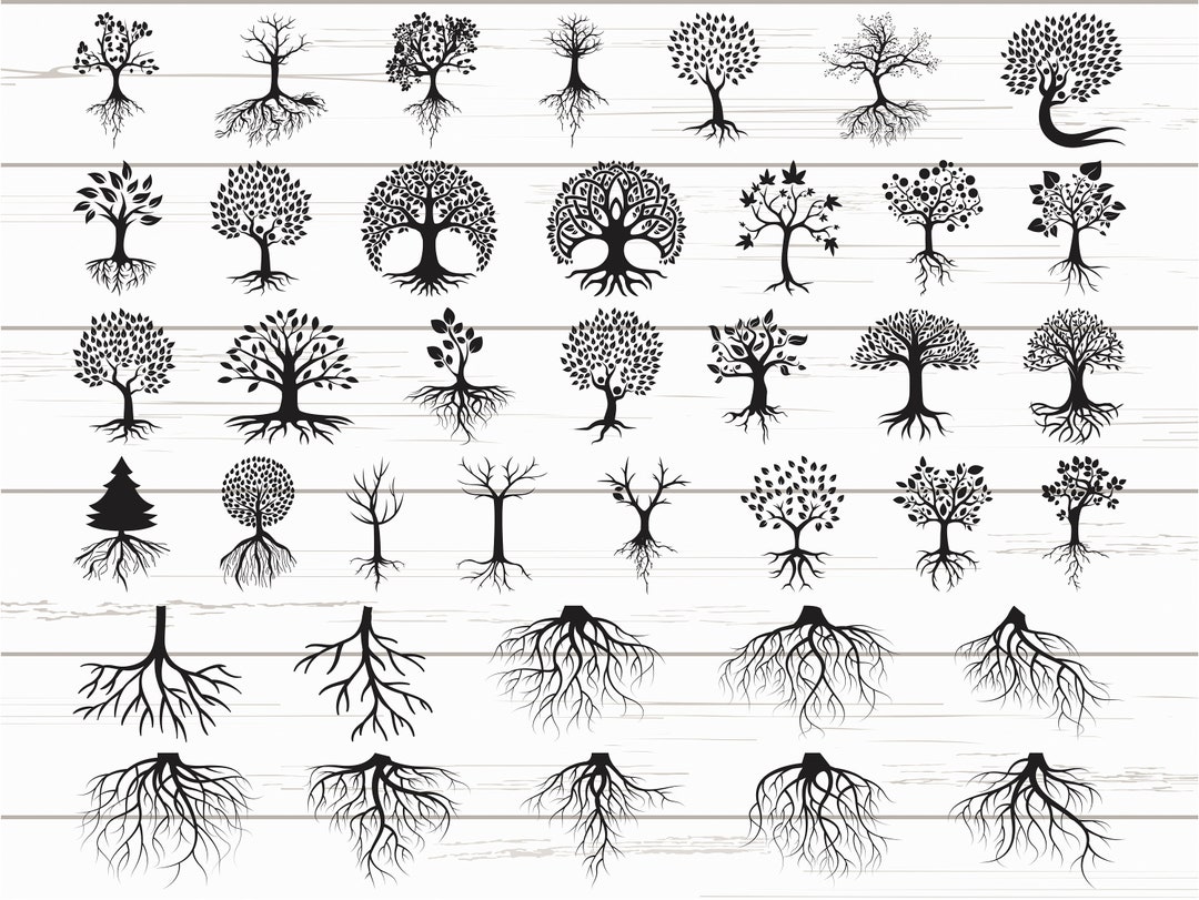 39 Tree With Roots SVG / Roots Svg / Family Tree Svg / Cut Files ...