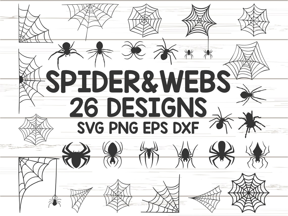 Spider SVG / Spider Web SVG / Insect SVG / Cobweb Svg / Halloween Svg ...