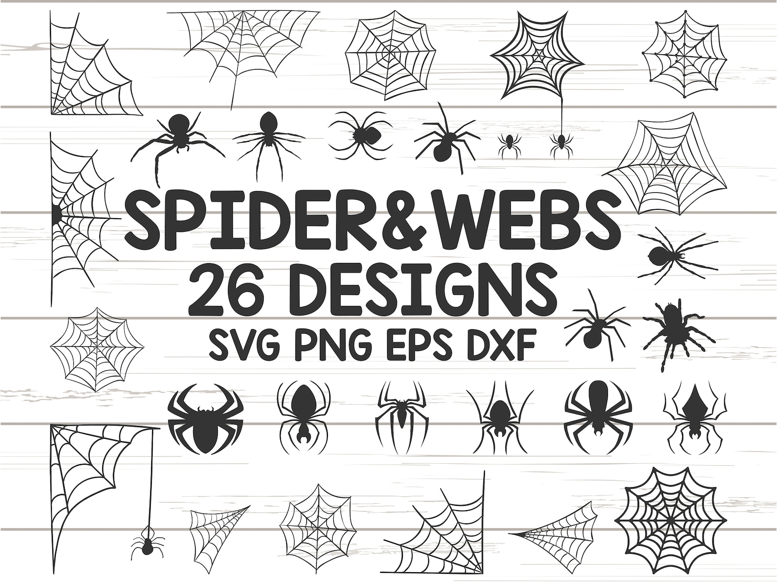 Spider SVG / Spider Web SVG / Insect SVG / Cobweb Svg / - Etsy
