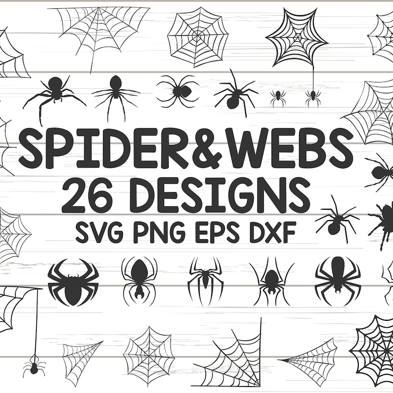 Spider Web Svg - Etsy