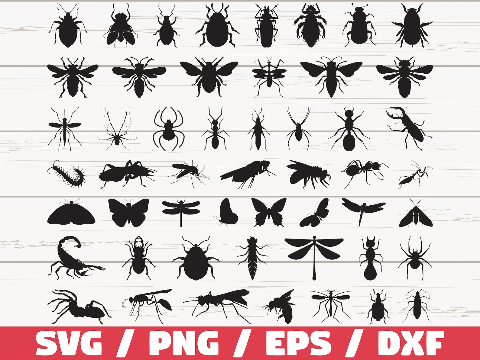 51 Insect SVG / Insect Bundle SVG / Cricut / Cut Files / Clipart ...