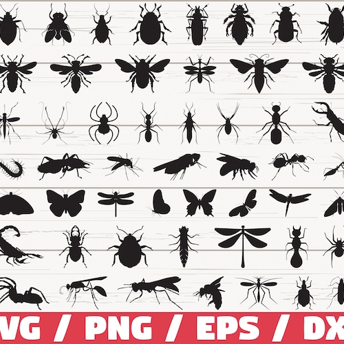 51 Insect SVG / Insect Bundle SVG / Cricut / Cut Files / - Etsy