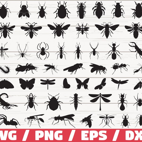 Insect Clipart - Etsy