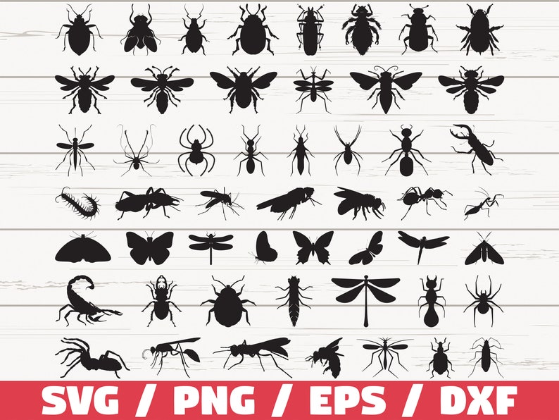 51 Insect SVG / Insect Bundle SVG / Cricut / Cut Files / | Etsy