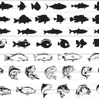 Fish Svg - Etsy