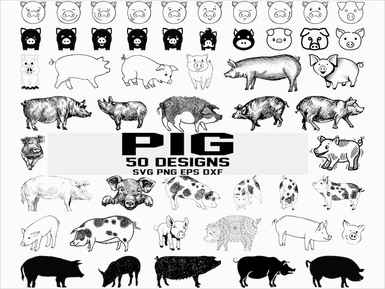 Varken SVG/varken hoofd SVG/schattig varken/varken handraw SVG/varken ...