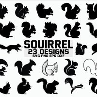 Squirrel Svg - Etsy