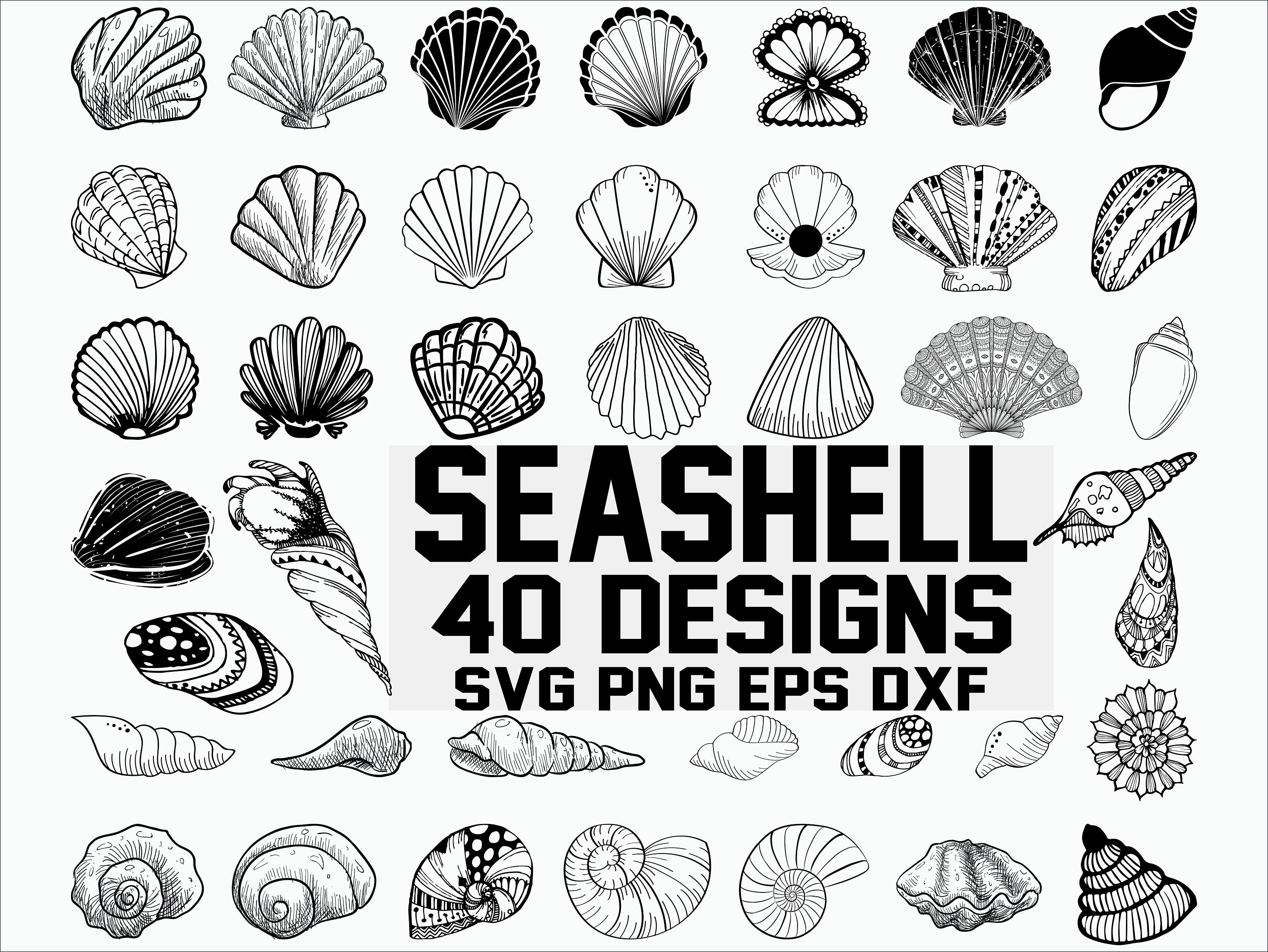 Seashell SVG/ Shell Svg/ Seashell Clipart/ Clam Svg/ Scallop Svg/ Ocean ...