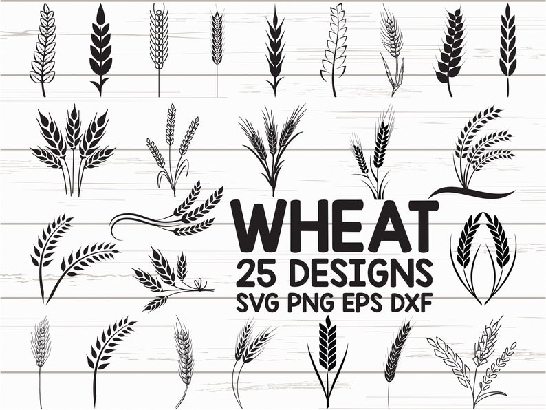 Wheat SVG/ Grain Svg/ Wheat Clipart/ Cut Files/ Cricut/ - Etsy