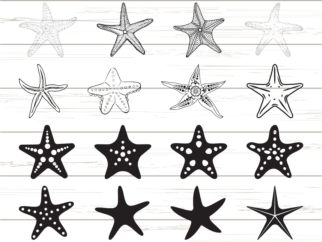 Starfish SVG / Ocean Svg / Clipart/ Cut File / Cricut / Silhouette ...