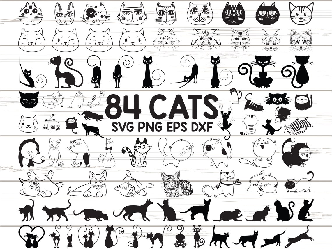 Cats SVG/ Cat Svg/ Kitten Svg/ Cute Cat Svg/ Cartoon Cat Svg/ Cat Head ...