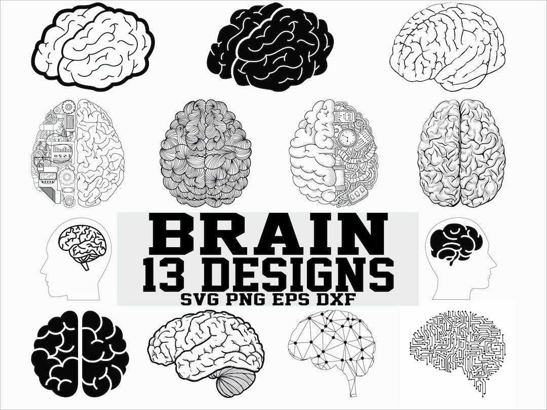 Brain Svg/ Human Brain Svg/ Organ Svg/ Clipart/ Decal/ Stencil/ Vinyl ...