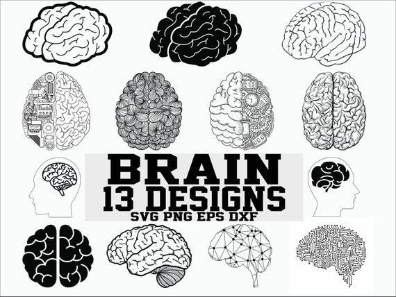 Brain svg/ human brain svg/ organ svg/ clipart/ decal/ | Etsy