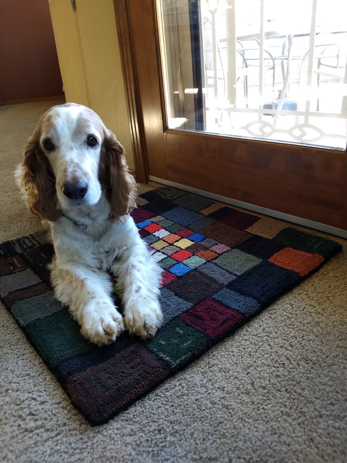 Hand Hooked Rug - Kleeful (autumn) - Original Design - Etsy