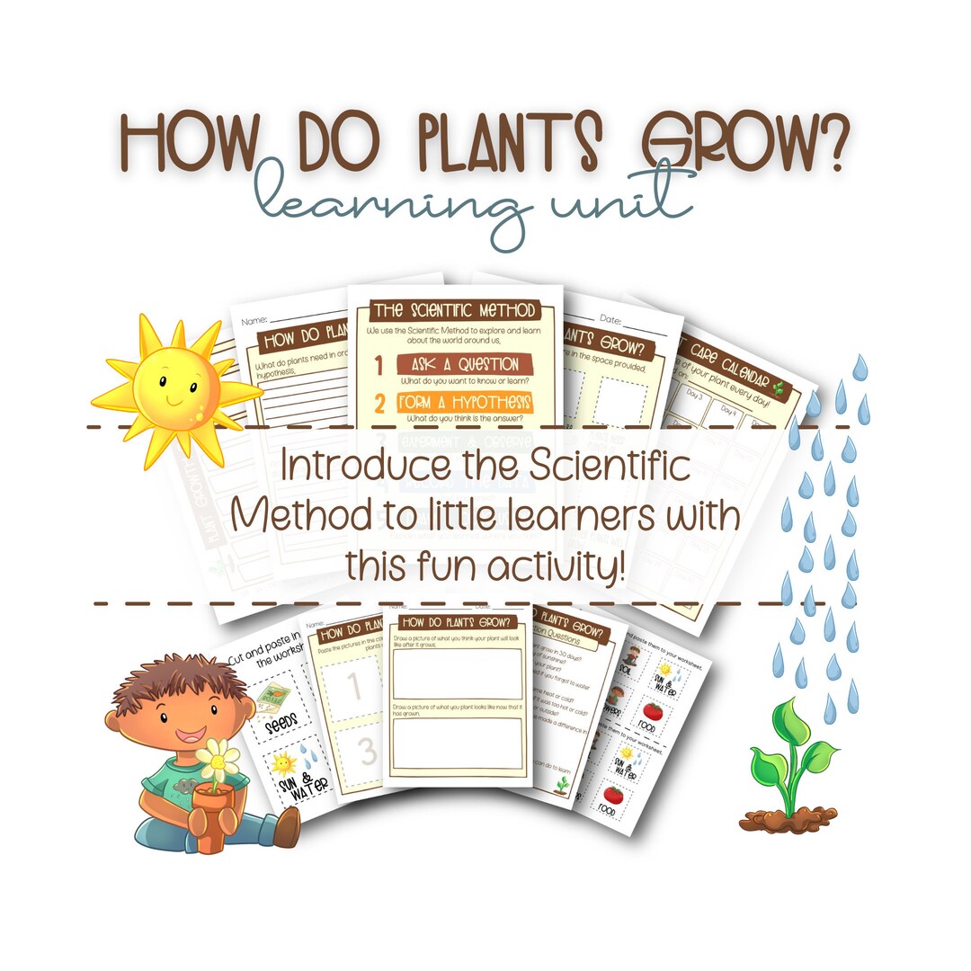 How Do Plants Grow Learning Unit - Etsy