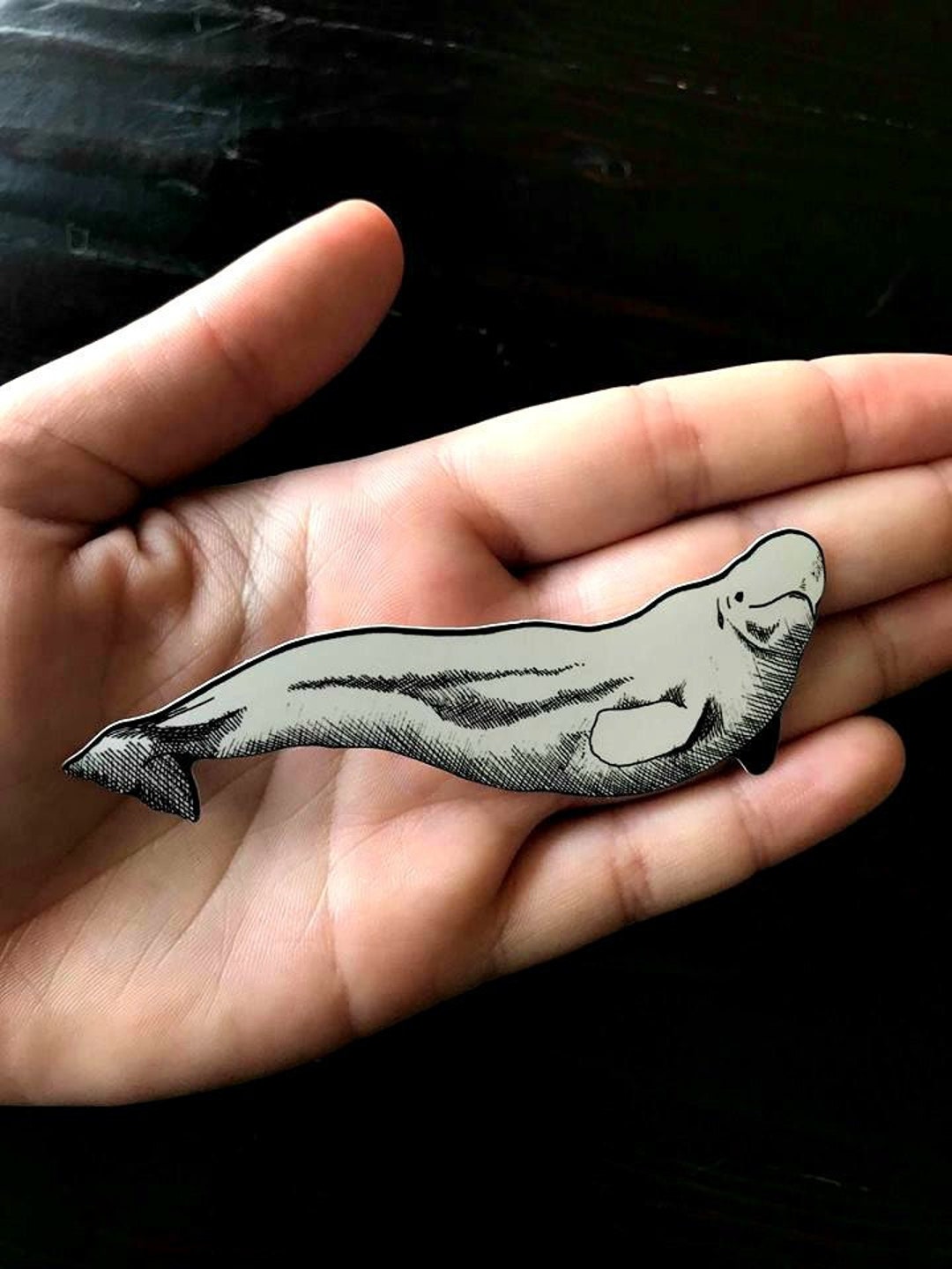 Matte Sticker - Arctic Beluga Whale - Original Pen and Ink Illustration ...