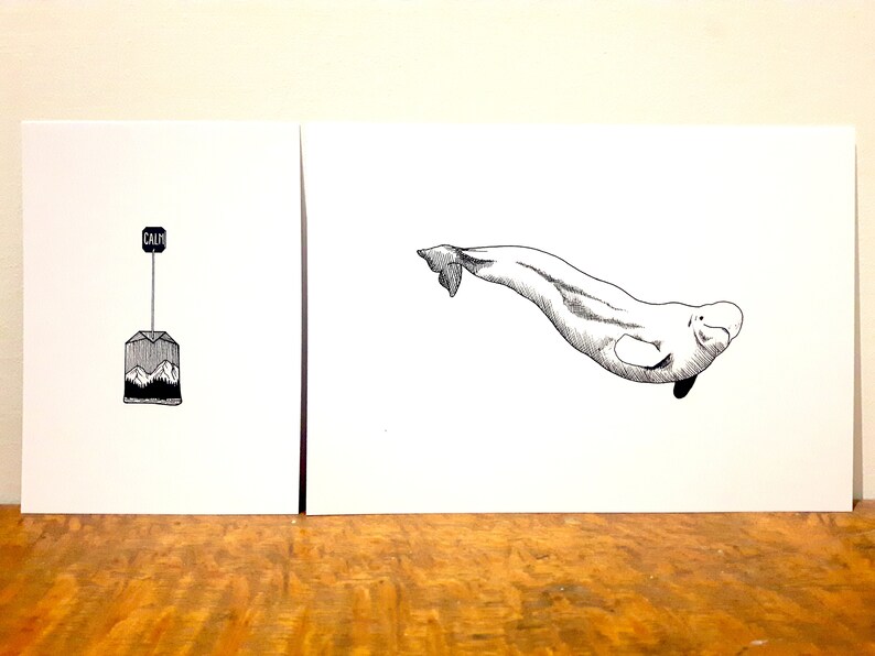 Print - Arctic Beluga Whale - Pen and Ink Illustration - Etsy