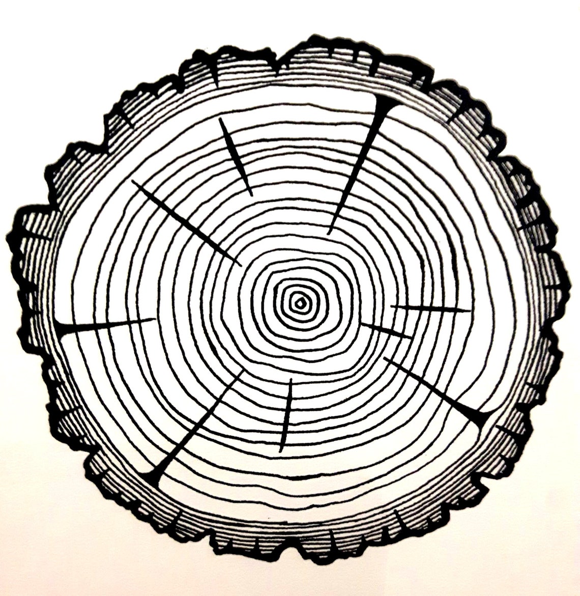Print Pine Log Slice Pen and Ink illustration | Etsy