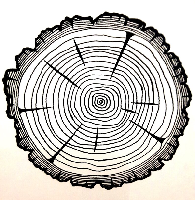 Print Pine Log Slice Pen and Ink illustration | Etsy