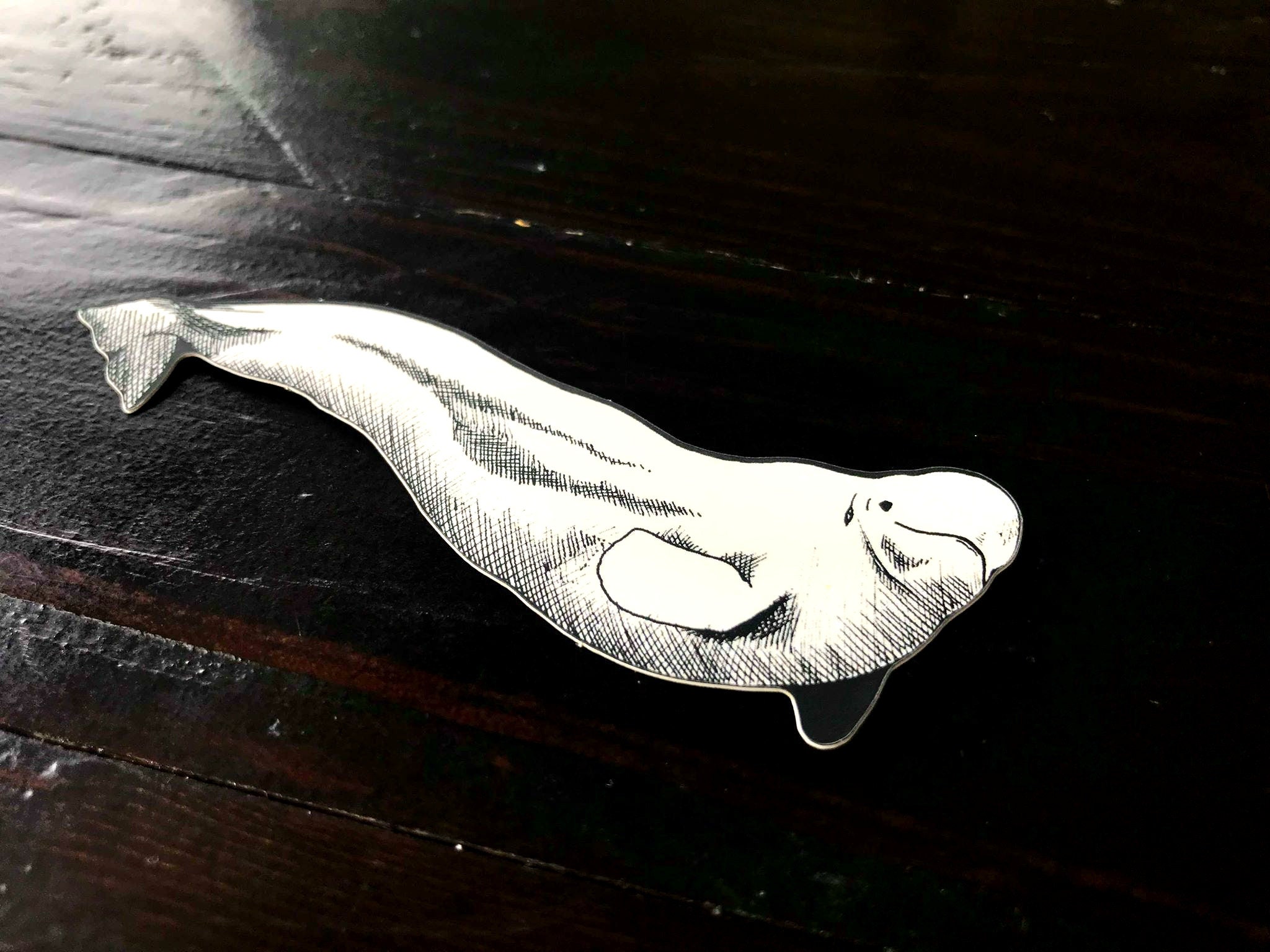 Matte Sticker - Arctic Beluga Whale - Original Pen and Ink Illustration ...