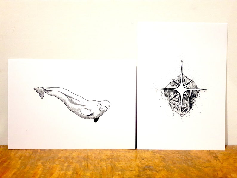 Print - Arctic Beluga Whale - Pen and Ink Illustration - Etsy