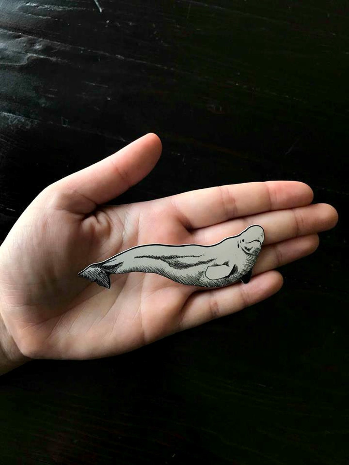 Matte Sticker - Arctic Beluga Whale - Original Pen and Ink Illustration ...
