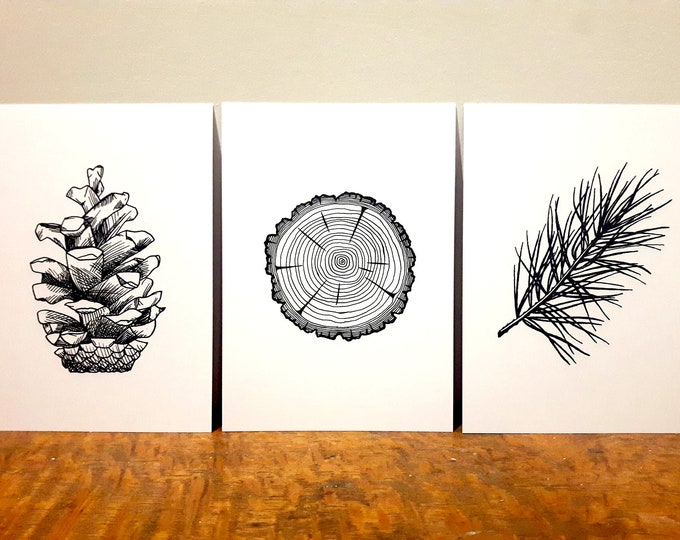 Prints Pine Tree Set 3 Pen and Ink Illustrations - Etsy