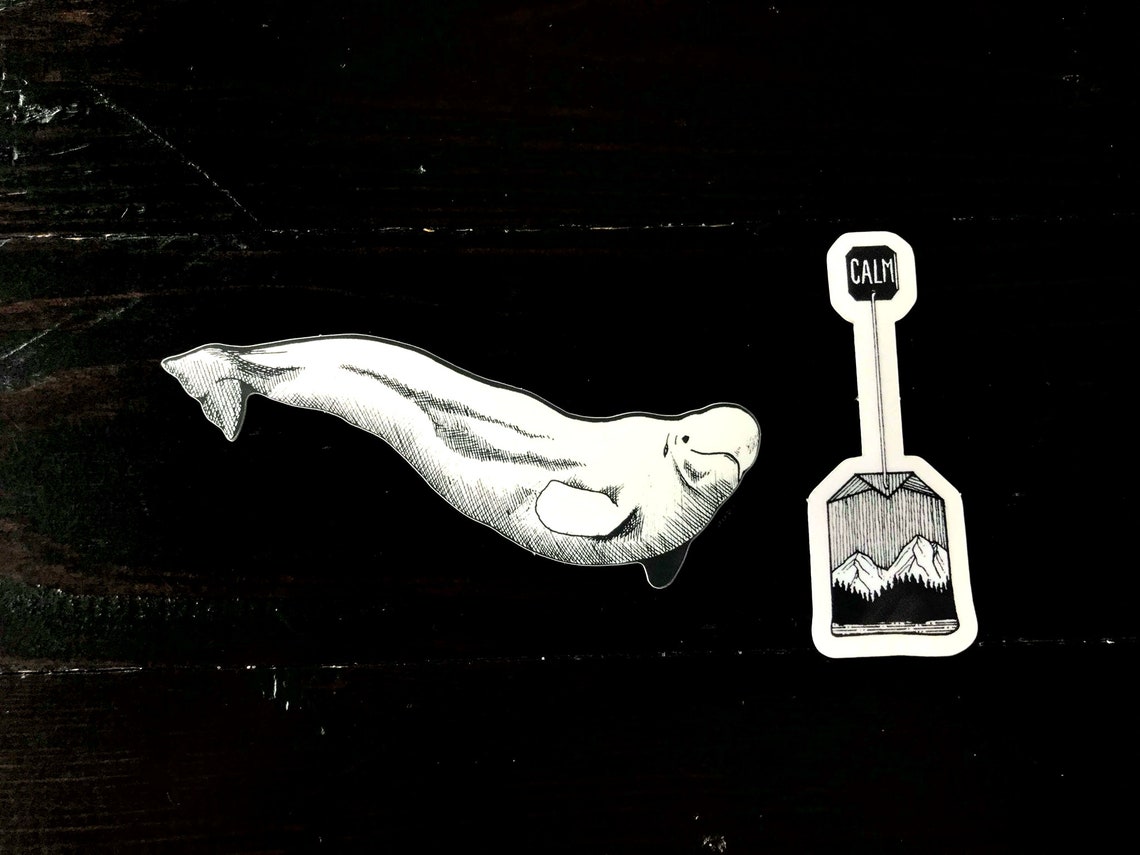Matte Sticker - Arctic Beluga Whale - Original Pen and Ink Illustration ...