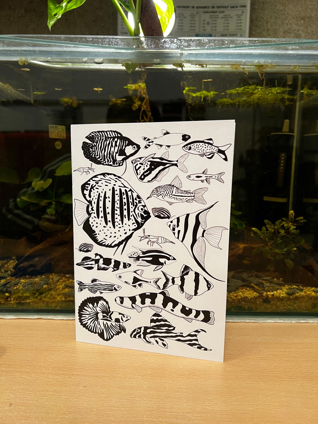 Tropical Fish / Notebook / Notepad / Journal / Writing / - Etsy UK