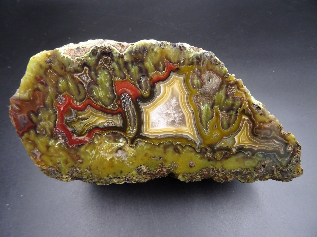 Gran Increíble AGUA NUEVA AGATE Pulido Muestra de Pantalla 14.1cms x 7 ...