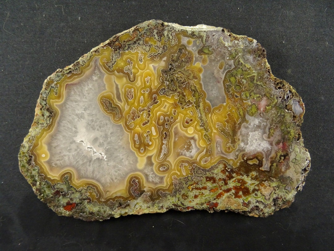 Big Unique Tubular AGUA NUEVA AGATE Polished Display Specimen Slab 19cm ...