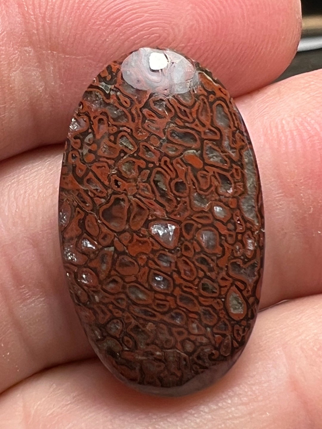 Phenomenal Red GEMBONE DINOSAUR BONE Designer Cabochon - Etsy