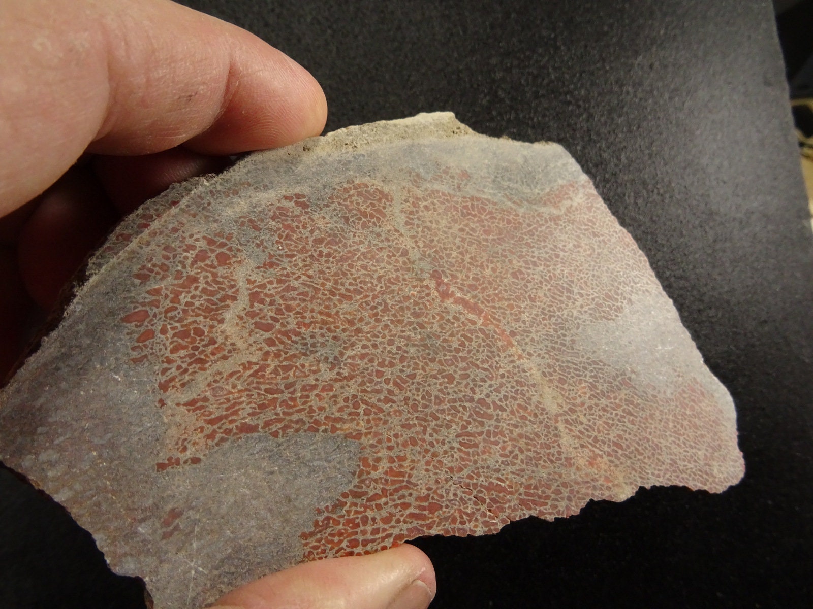 Red GEMBONE Agatized DINOSAUR BONE Slab 110 grams | Etsy