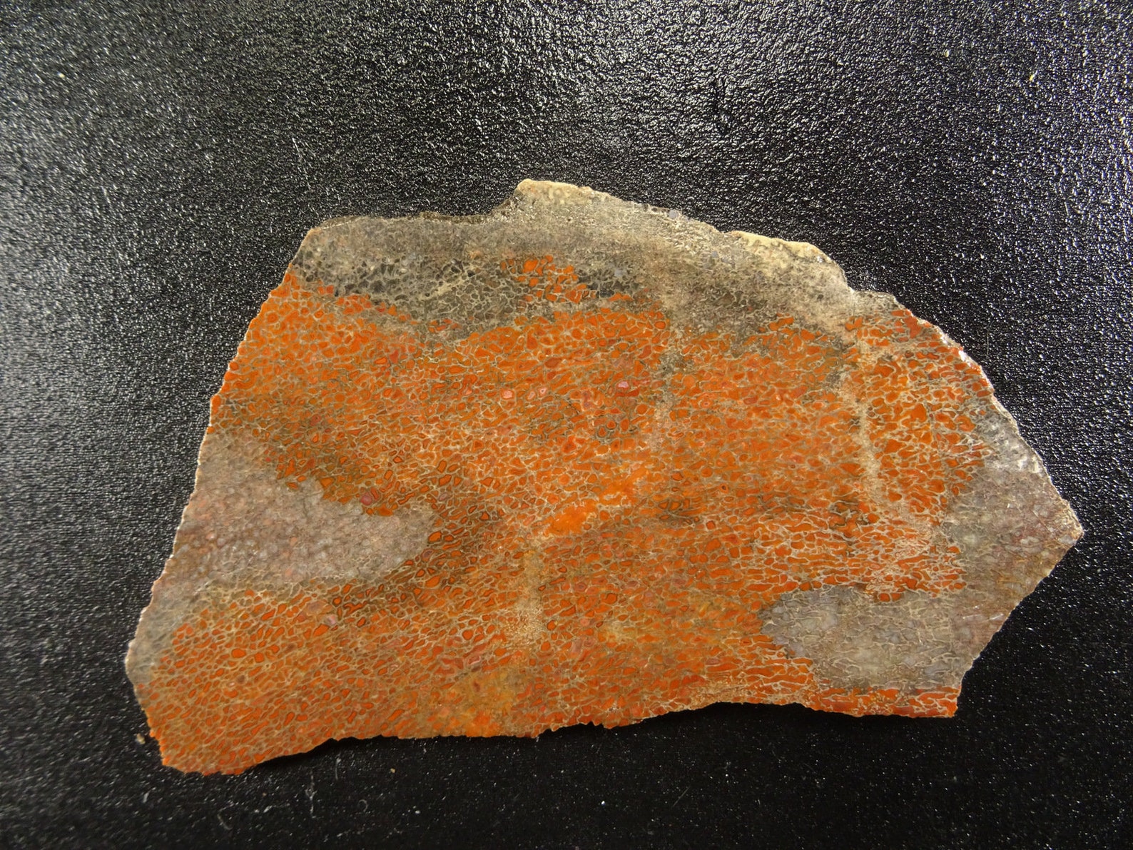 Red GEMBONE Agatized DINOSAUR BONE Slab 110 grams | Etsy