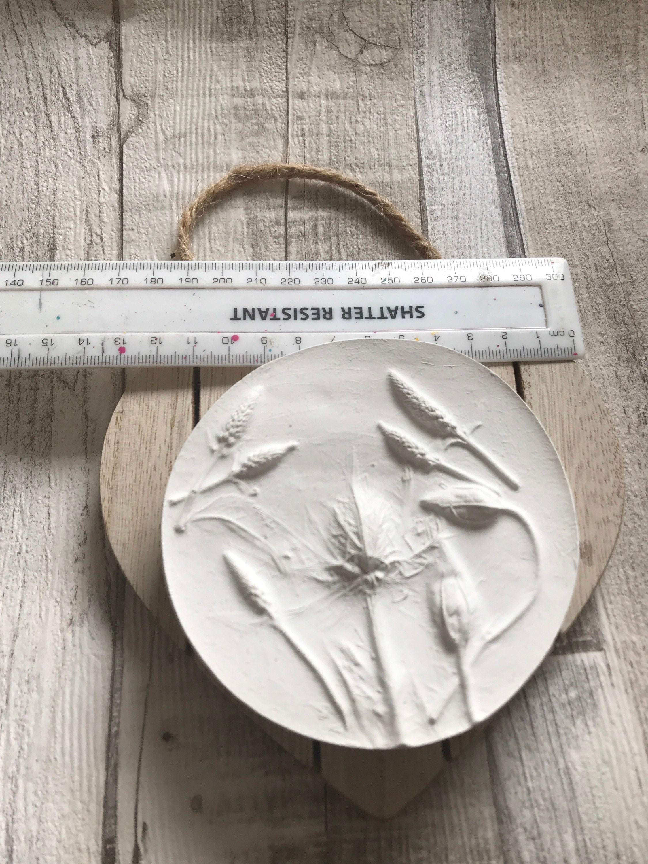 Plaster Cast Impression, Plaster of Paris Flowers Wall Plaque, Plaster ...