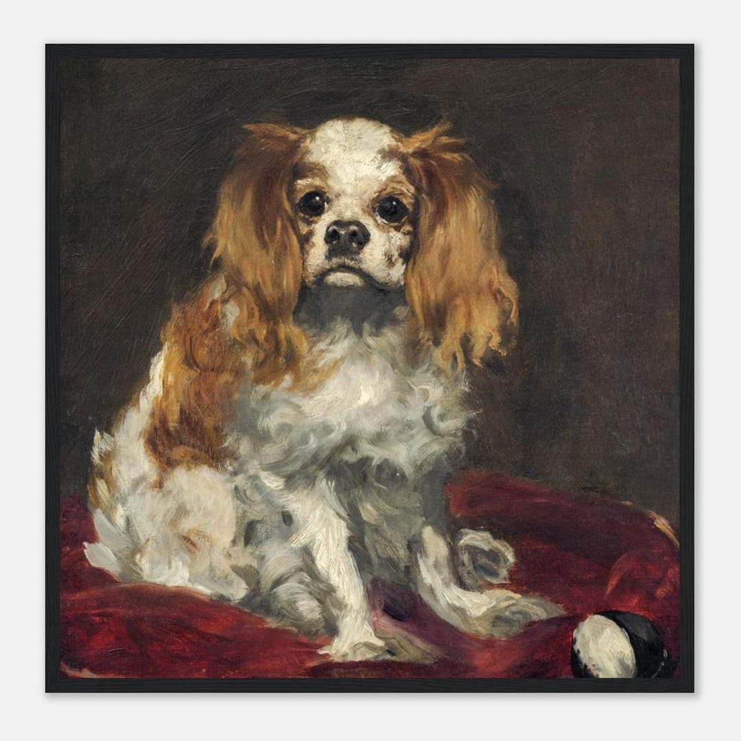 Framed Édouard Manet 'A King Charles Spaniel' Print | Elegant Pet ...