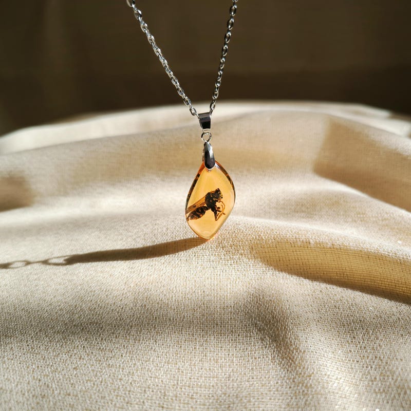 Amber With Insect - Etsy