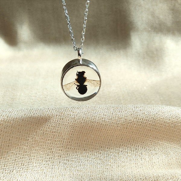 Insect Jewelry - Etsy UK