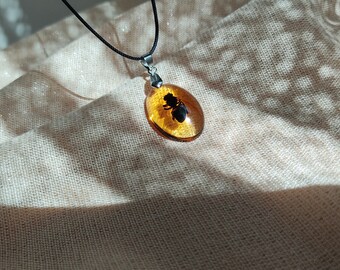 Resin Bug Necklace - Etsy