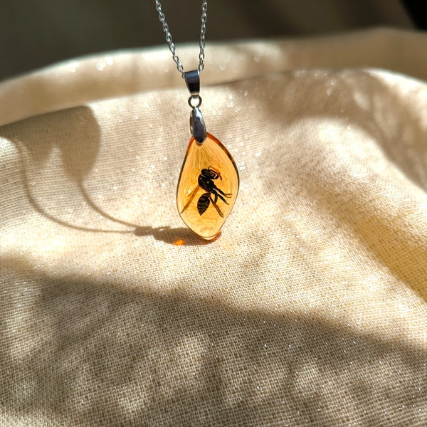 Amber With Insect - Etsy