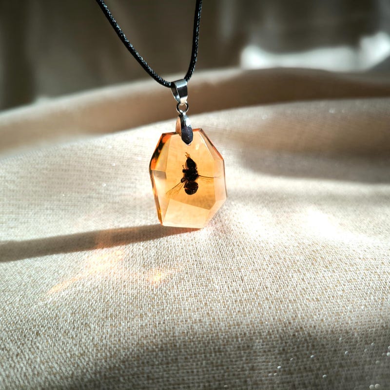 Amber With Insect - Etsy