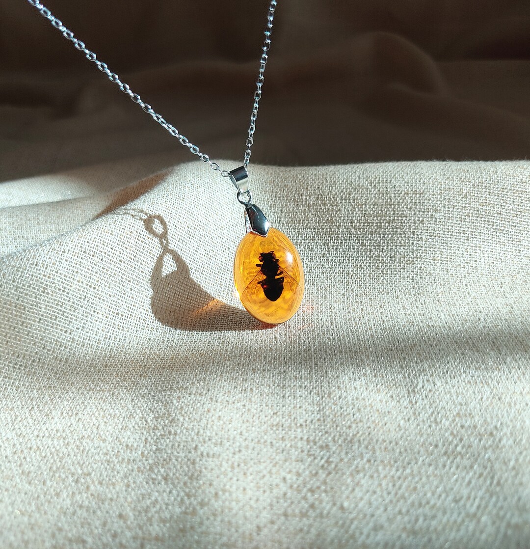 Real Preserved Bee Necklace, Amber Color Bug Pendant, Real Bug Jewelry ...