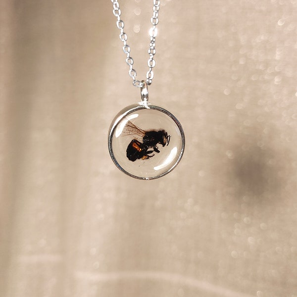 Insect Pendant - Etsy