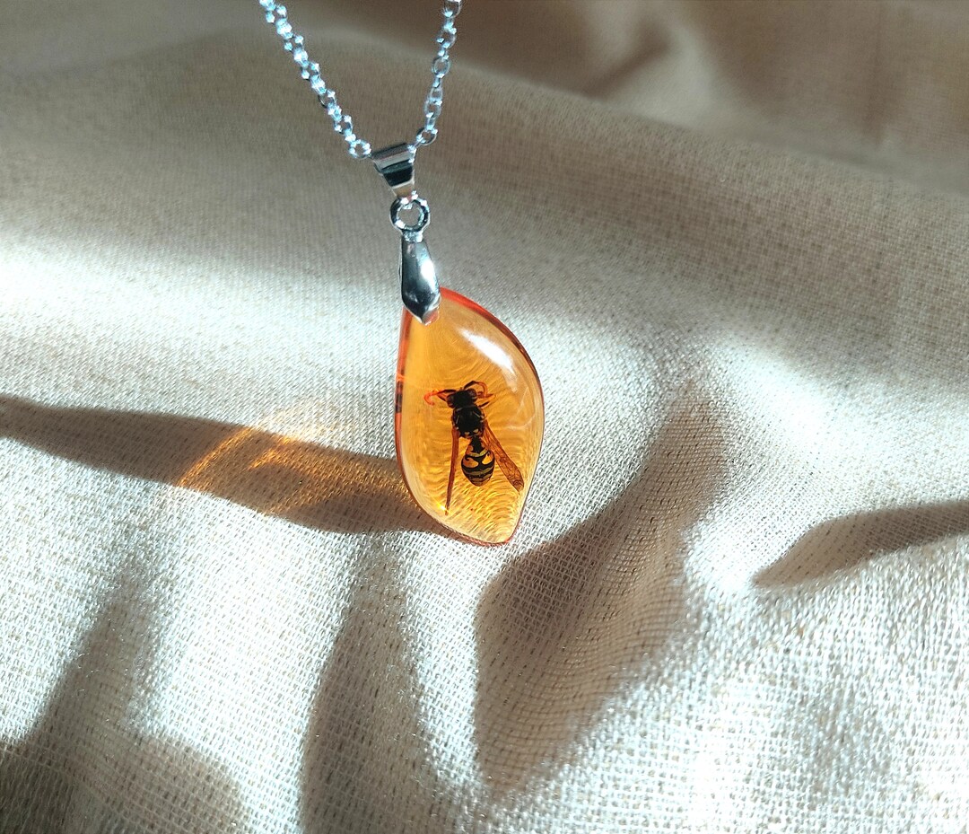 Preserved Wasp Necklace, Amber Color Real Bee Pendant, Bee Jewelry, Bee ...