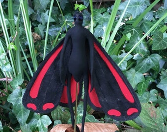 Moth terrarium | Etsy