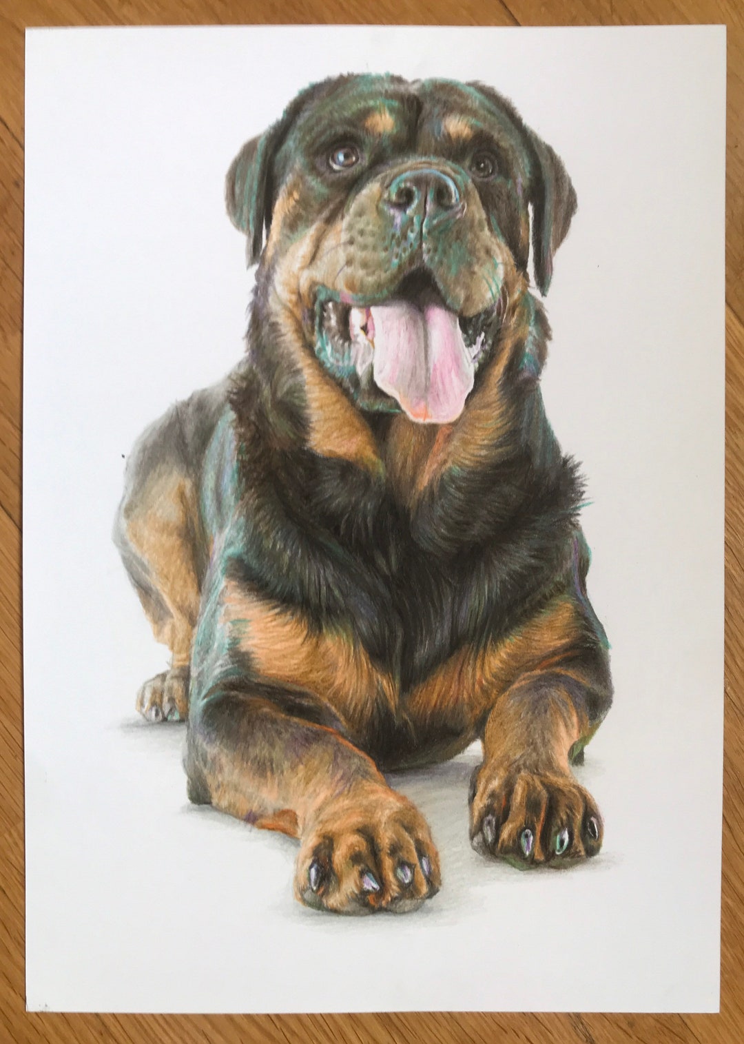Dear Dog Children's Friend Colored Pencil Hand Made One - Etsy